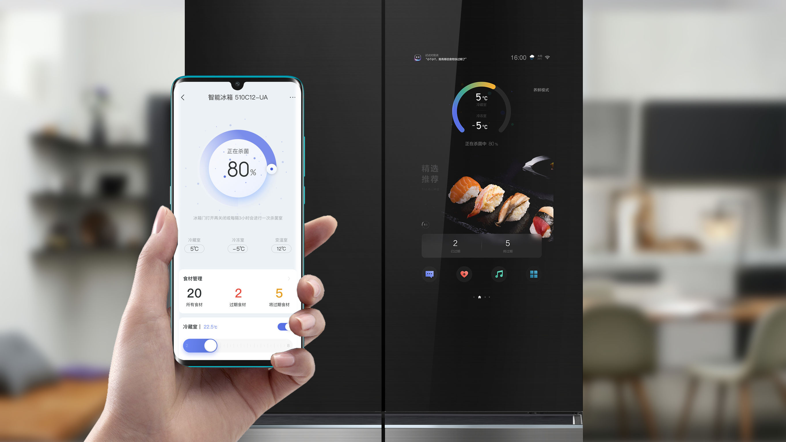 TCL C12 Refrigerator