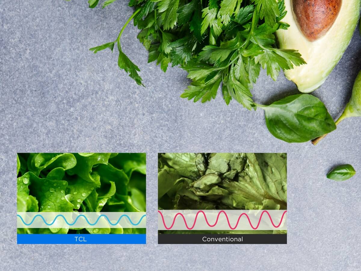 TCL Refrigerator P503SB-Side by Side AAT Swing Flow-TCL Global