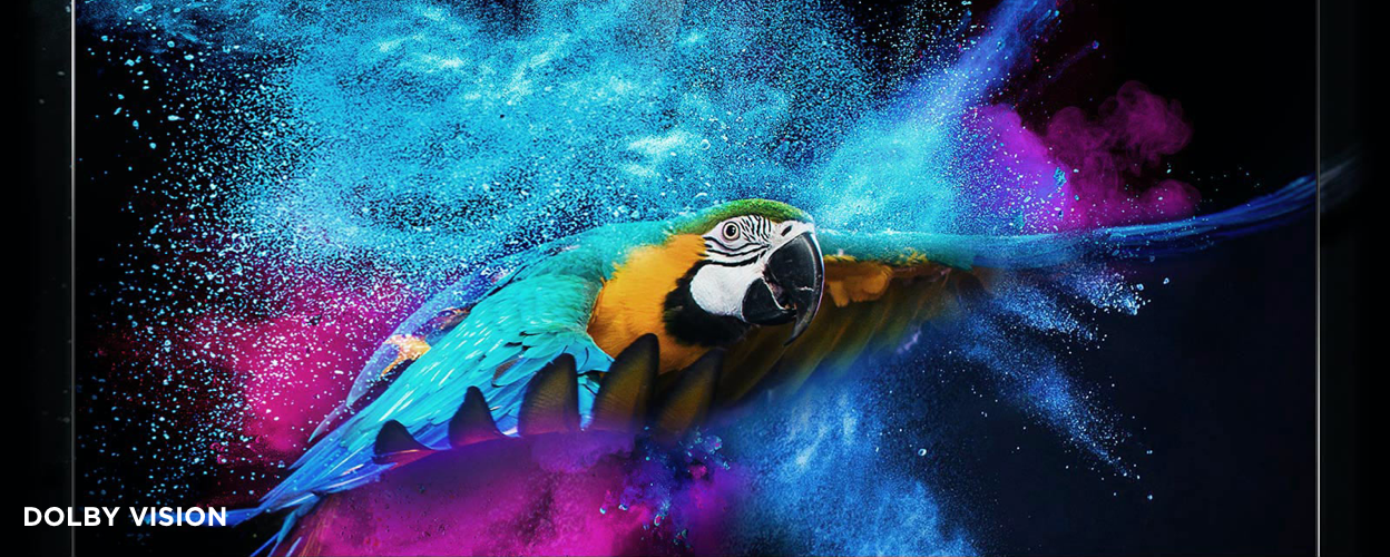 TCL TV C815 Series-4K QLED UHD Android TV-TCL Saudi Arabia