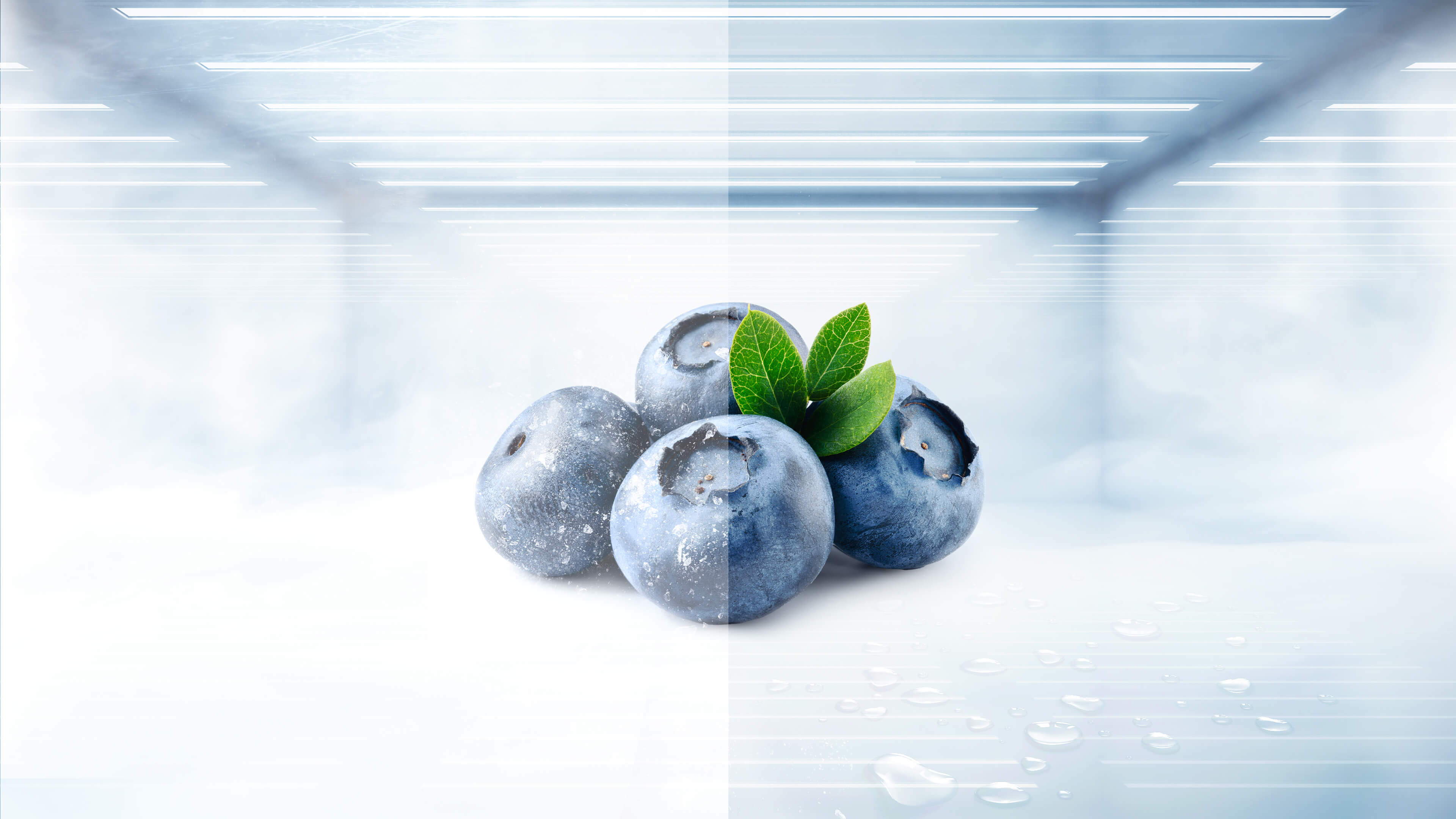 Refrigrator-C589 Geladeira Multidoor C589CDN1 | TCL Brazil / Português