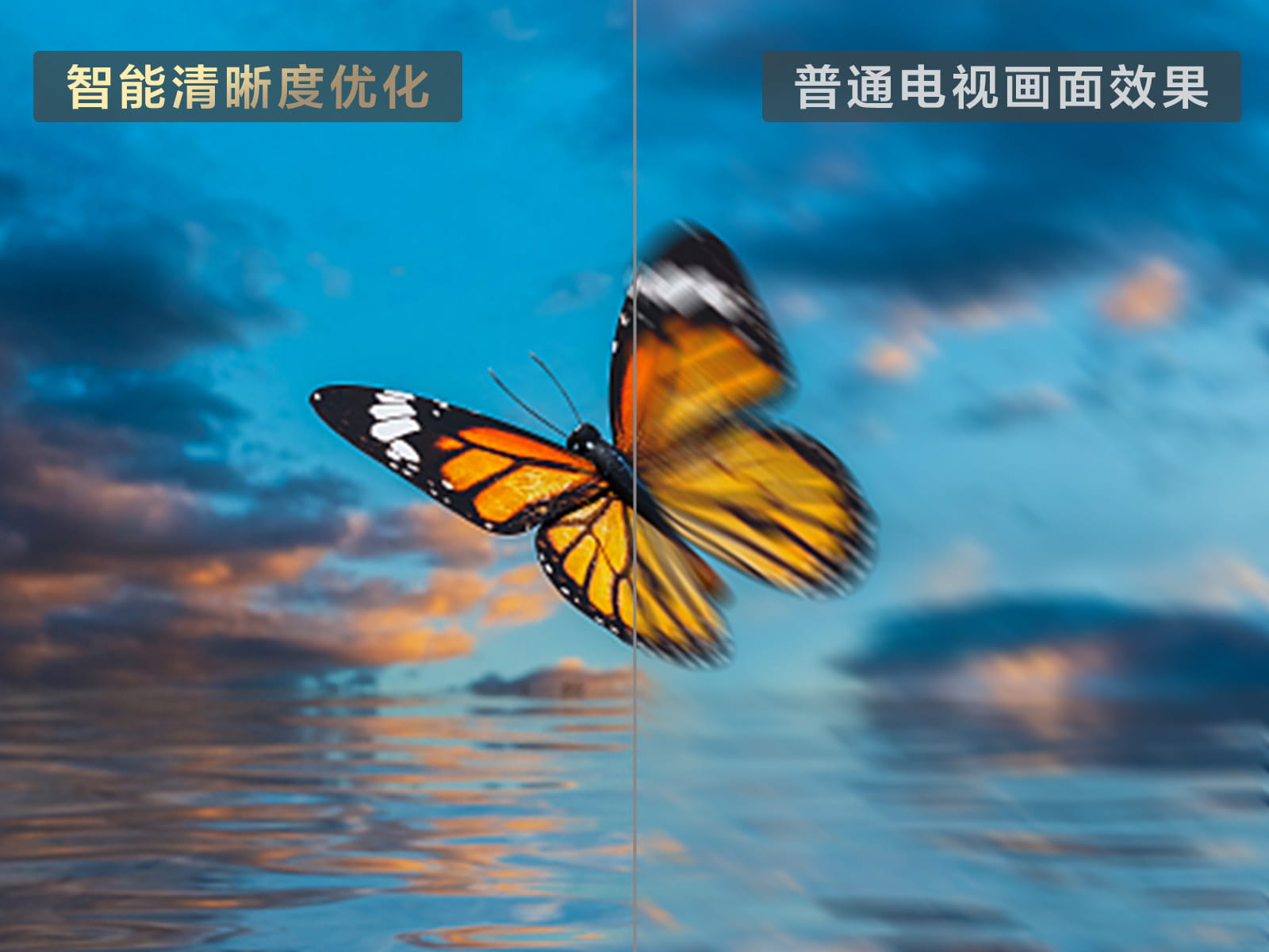 TCL C12H-75英寸大屏电视-旗舰款Mini LED电视 | TCL官网