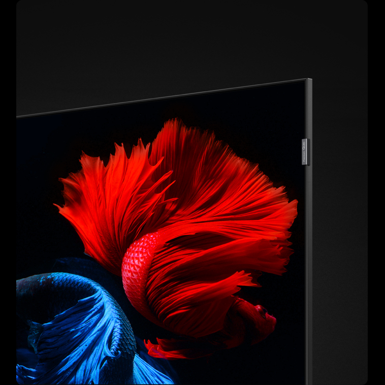 百级分区 QLED智屏 75T9G