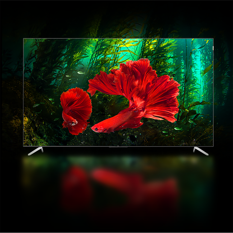 TCL C11-65英寸QLED液晶电视-光色猎手 | TCL官网