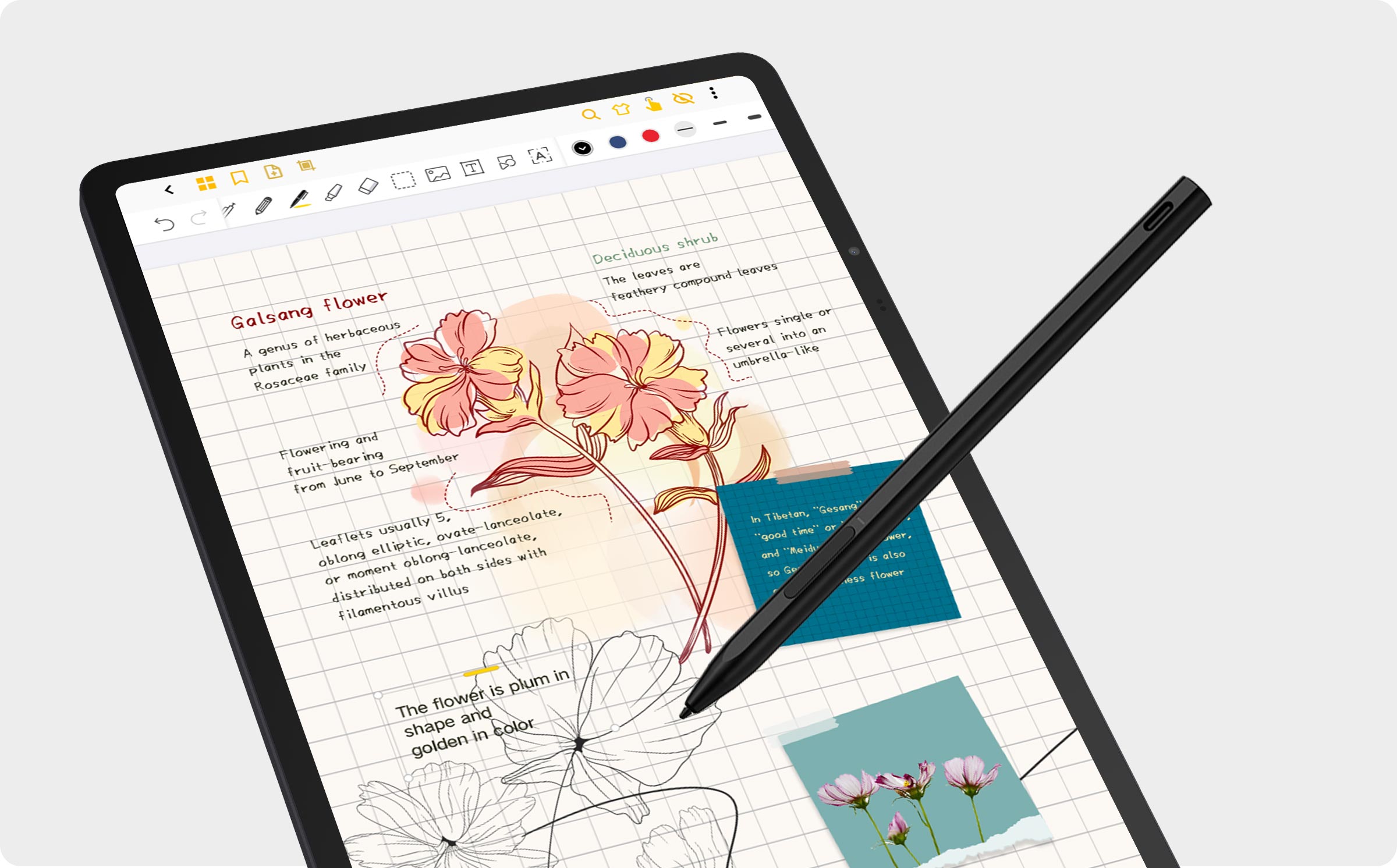 Tcl Nxtpaper 14 Full Color Electronic Paper Display Tablet Tcl Česká