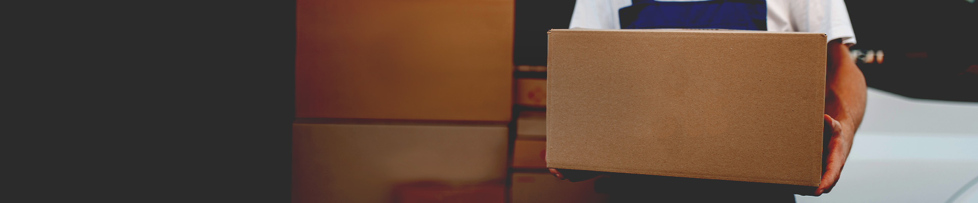 Delivery Policy - TCL Support